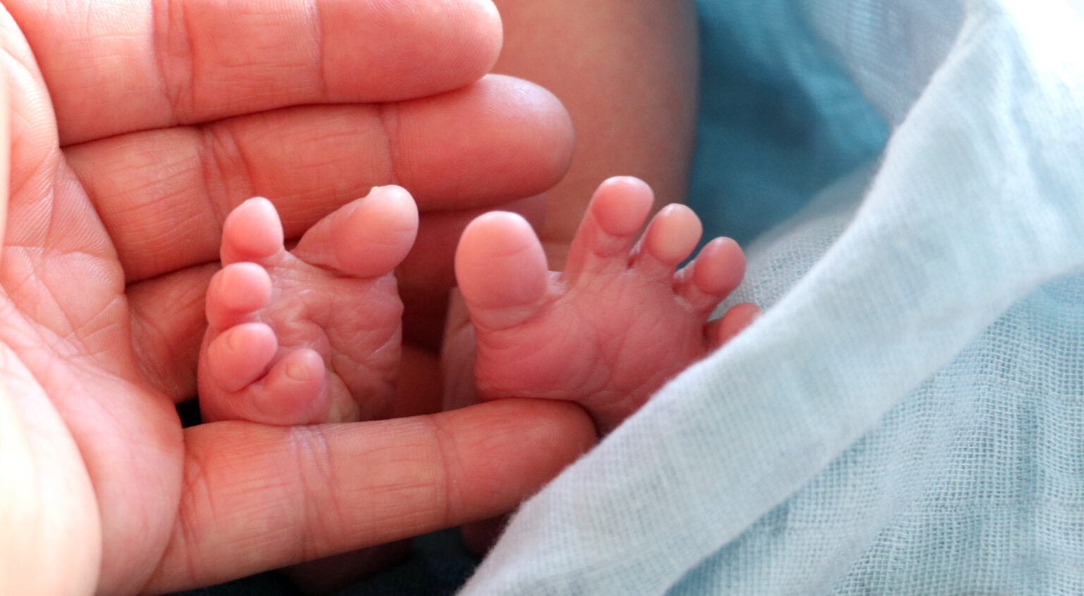 Hebamme – Geburt - Hebamme Berlin Prenzlauer Berg - Anja Constance Gaca